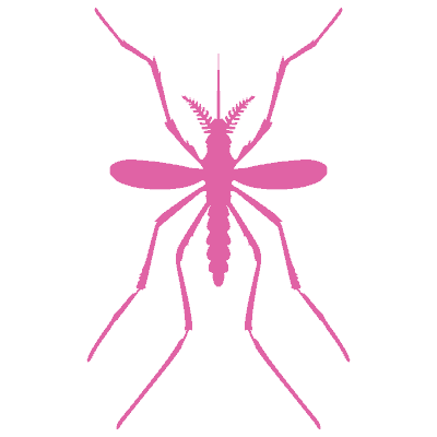 Pink South Pacific – Pink