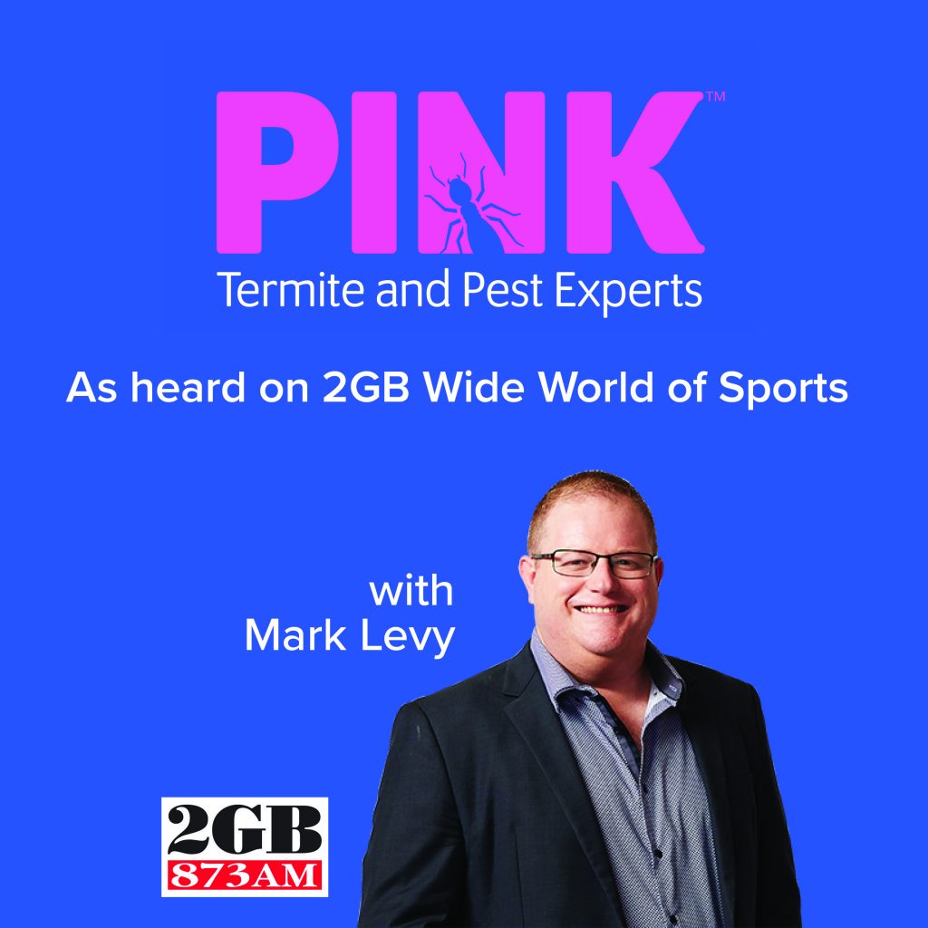 Mark Levy Talks About Pink on 2GB Wide World of Sports - Pink